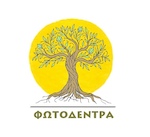 SALTO-YOUTH - Otlas - Light Trees